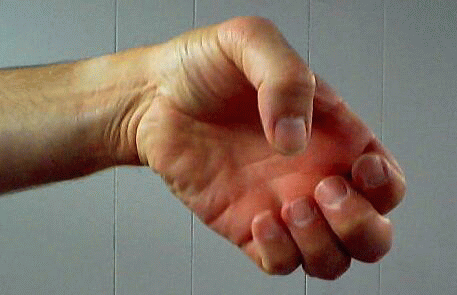 Newsletter - Kung Fu and Tai Chi Magazine